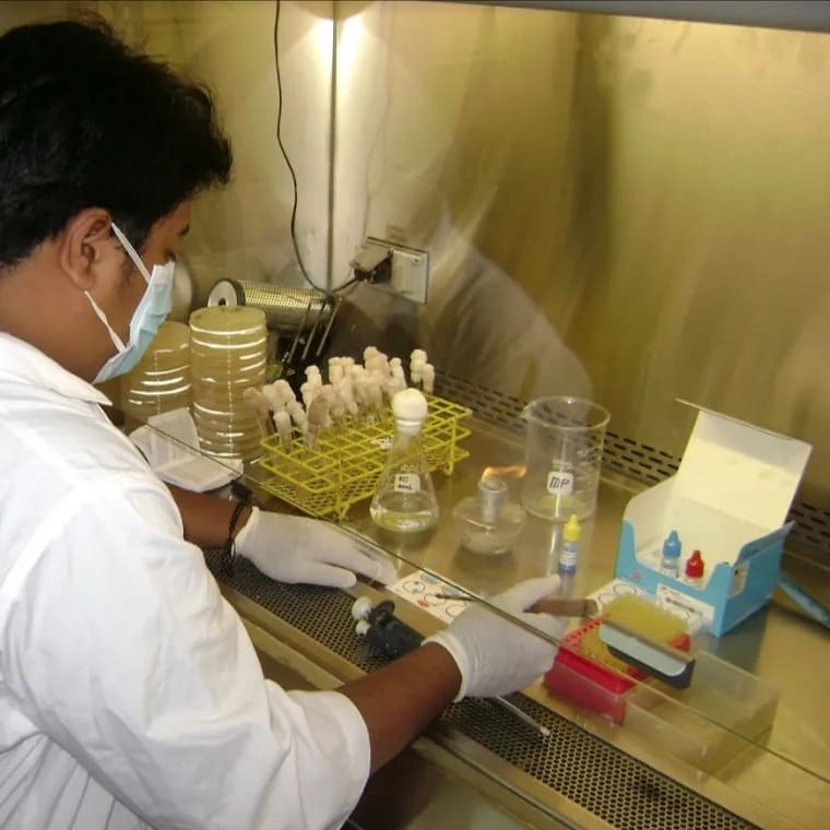 Appreciating the Beauty of Life with Microbiology - Pinoy Scientists